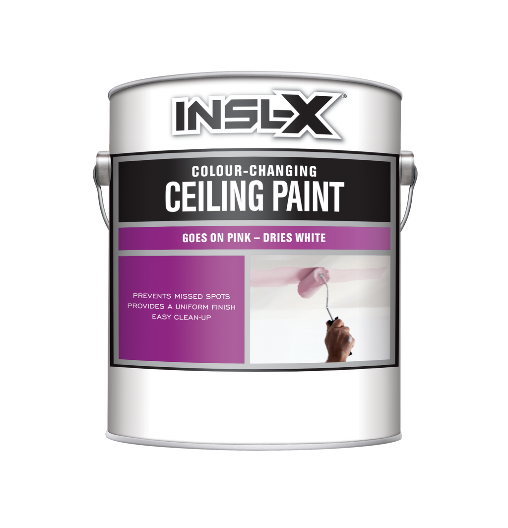 Colour Changing Ceiling Paint – Alpine Design Co